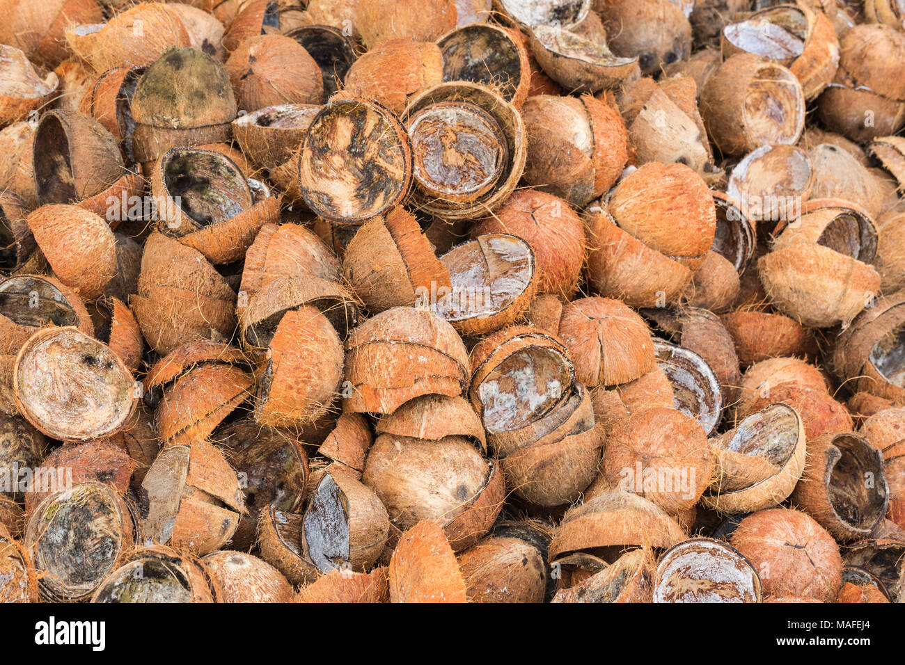 Hollow coconut hi-res stock photography and images - Alamy
