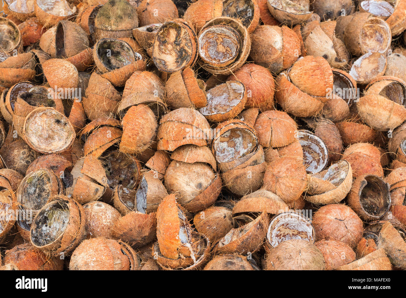 Pile of discarded coconut shells Stock Photo - Alamy