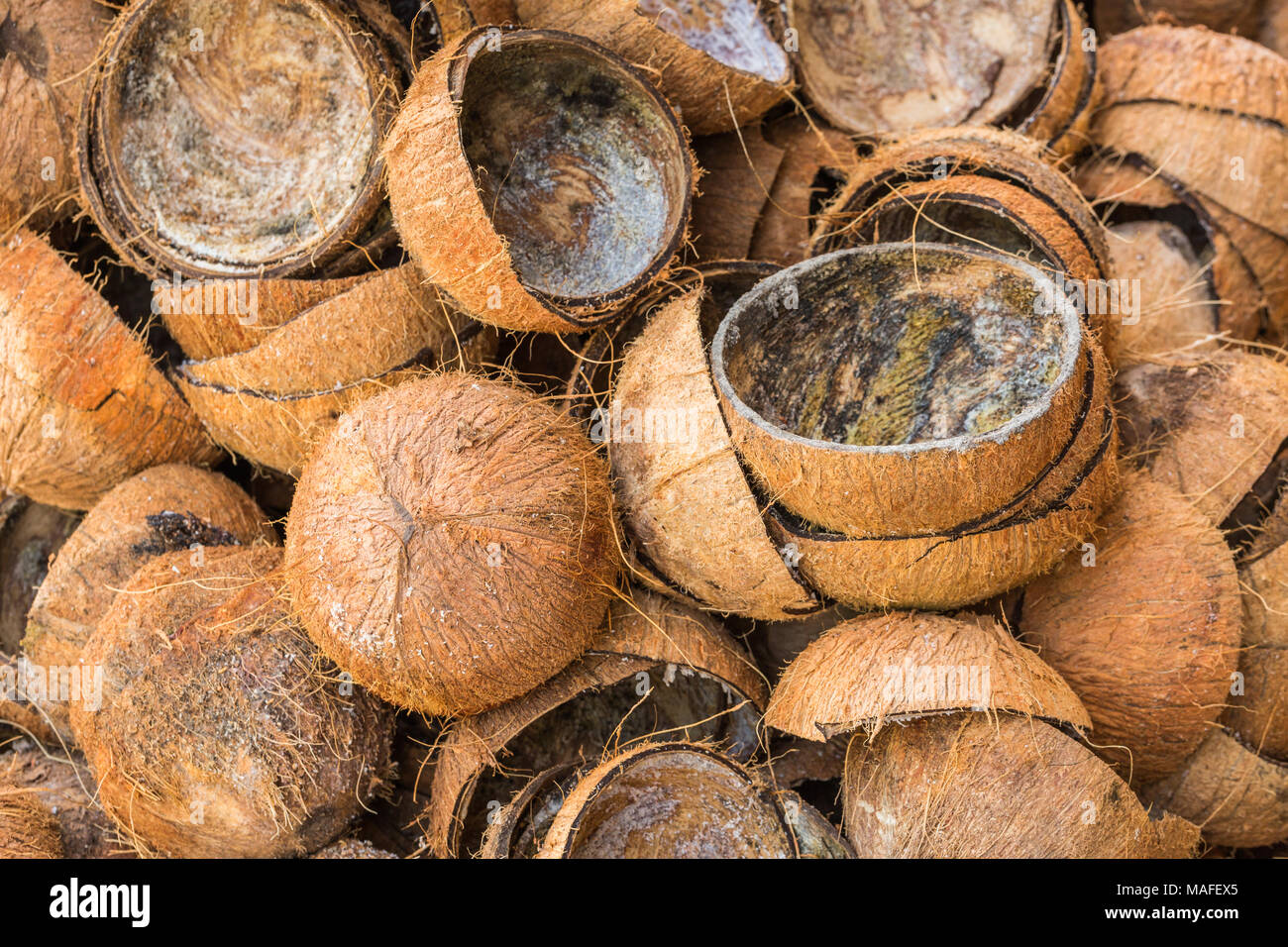 Dried coconut shells hi-res stock photography and images - Alamy