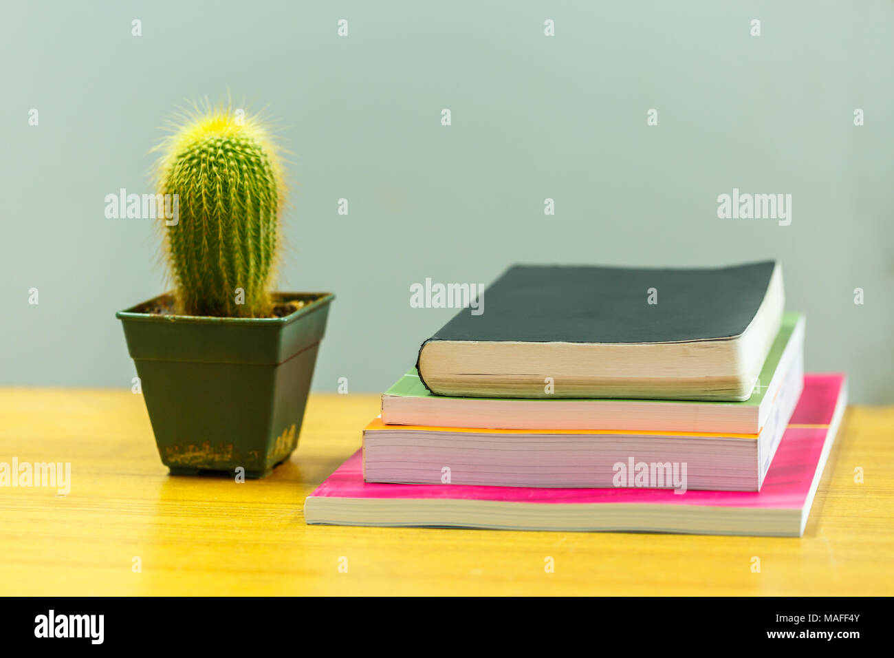 Tree Book Stack High Resolution Stock Photography and Images - Alamy