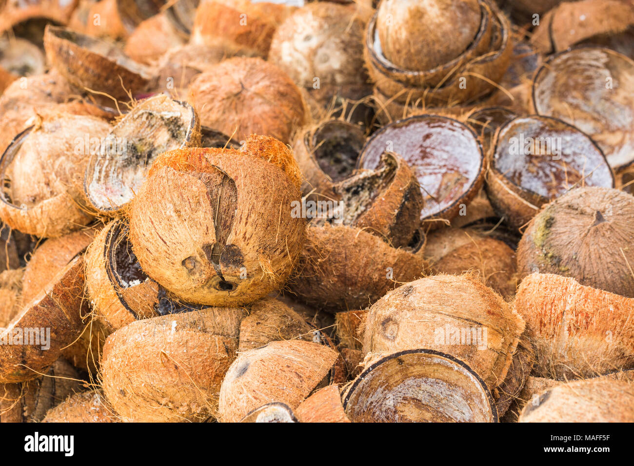 Pile of discarded coconut shells Stock Photo - Alamy