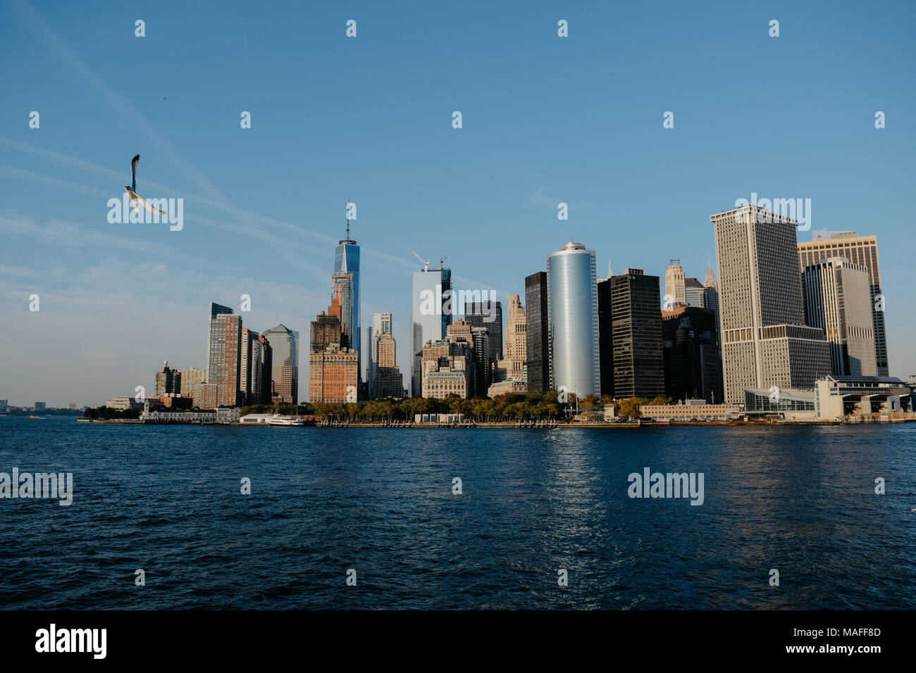 Manhattan bird view hi-res stock photography and images - Alamy