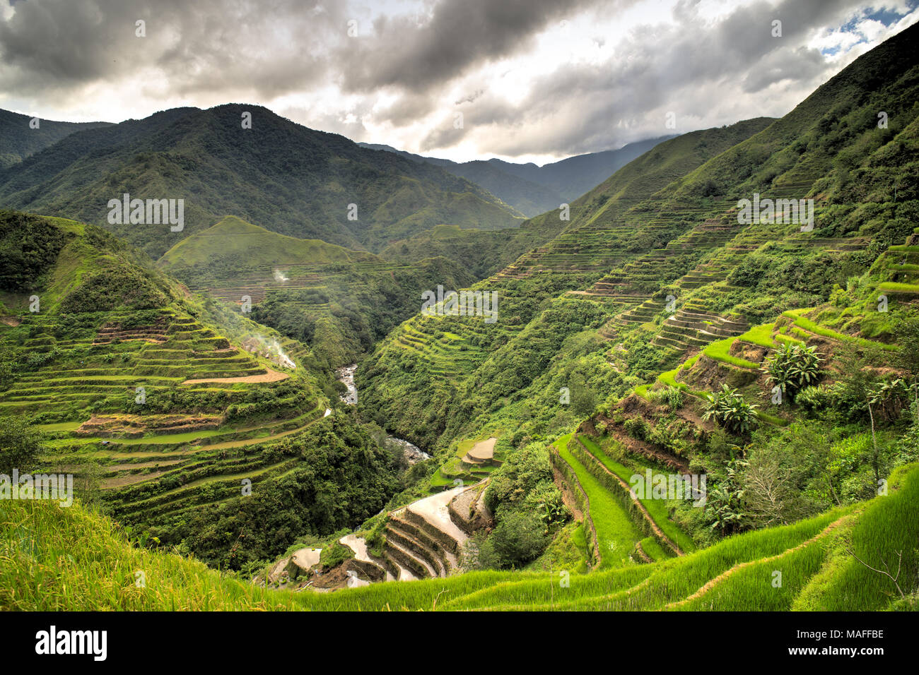 amazing rice terraces landscape Stock Photo - Alamy