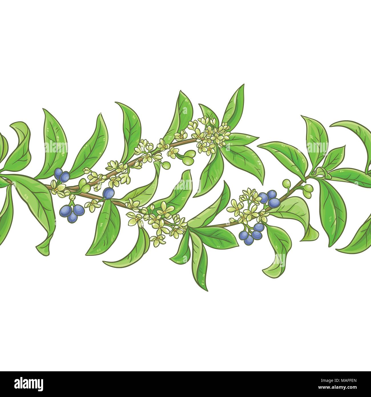 osmanthus branches vector pattern on white background Stock Vector ...