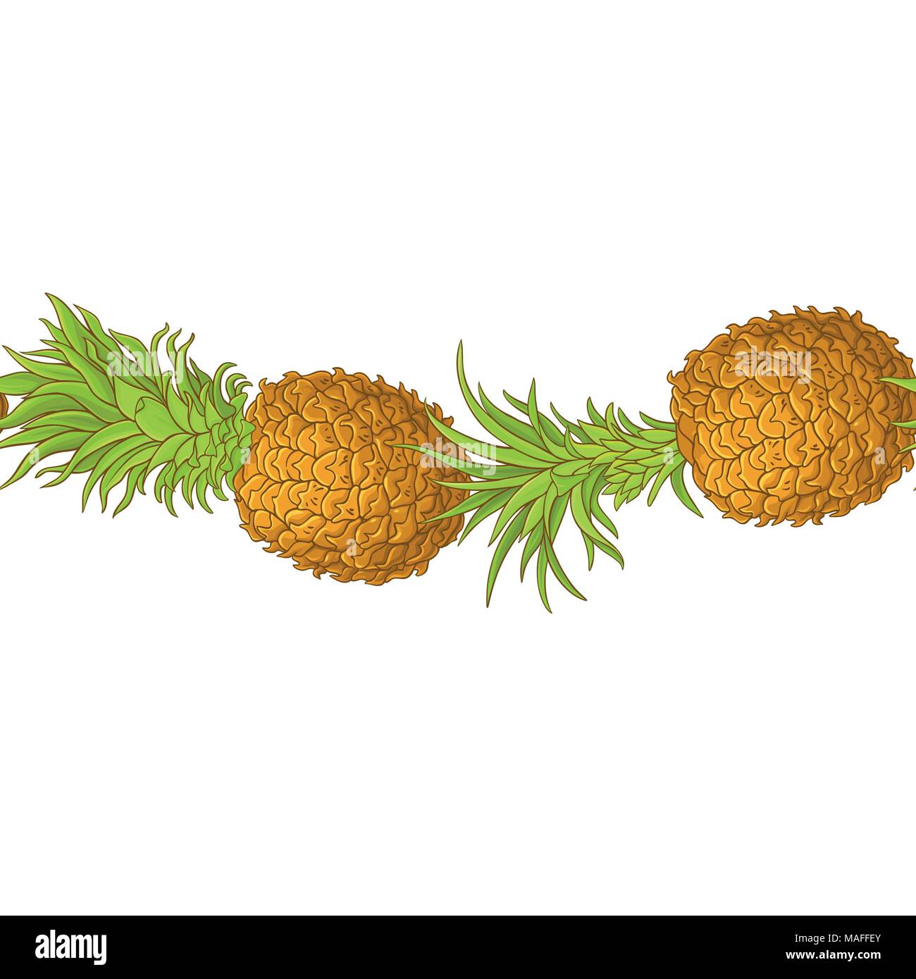Black white pineapple drawing Stock Vector Images - Alamy