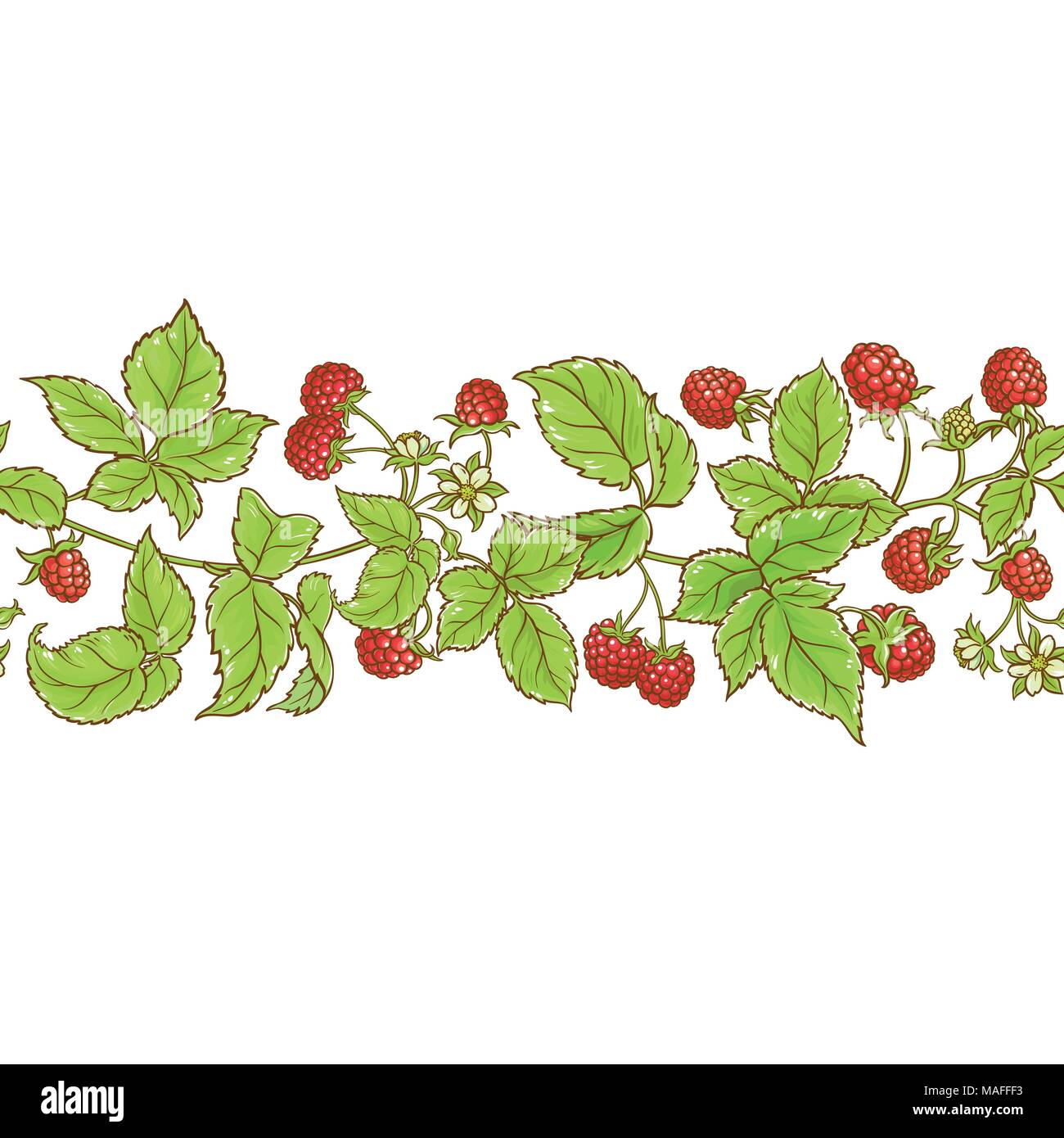 Raspberry sketch vector vectors hi-res stock photography and images - Alamy