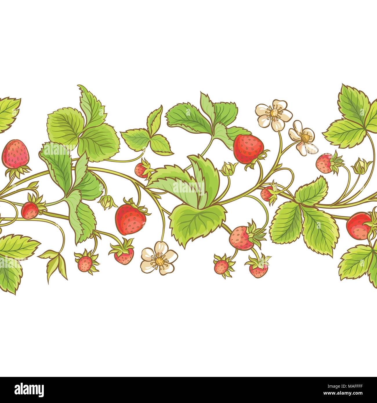 strawberry plant vector pattern on white background Stock Vector Image ...