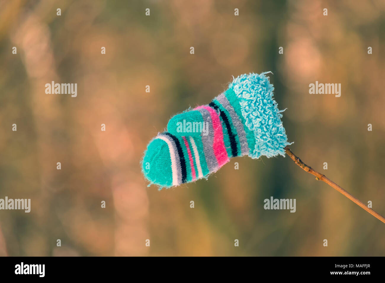 Lost mitten hi-res stock photography and images - Alamy