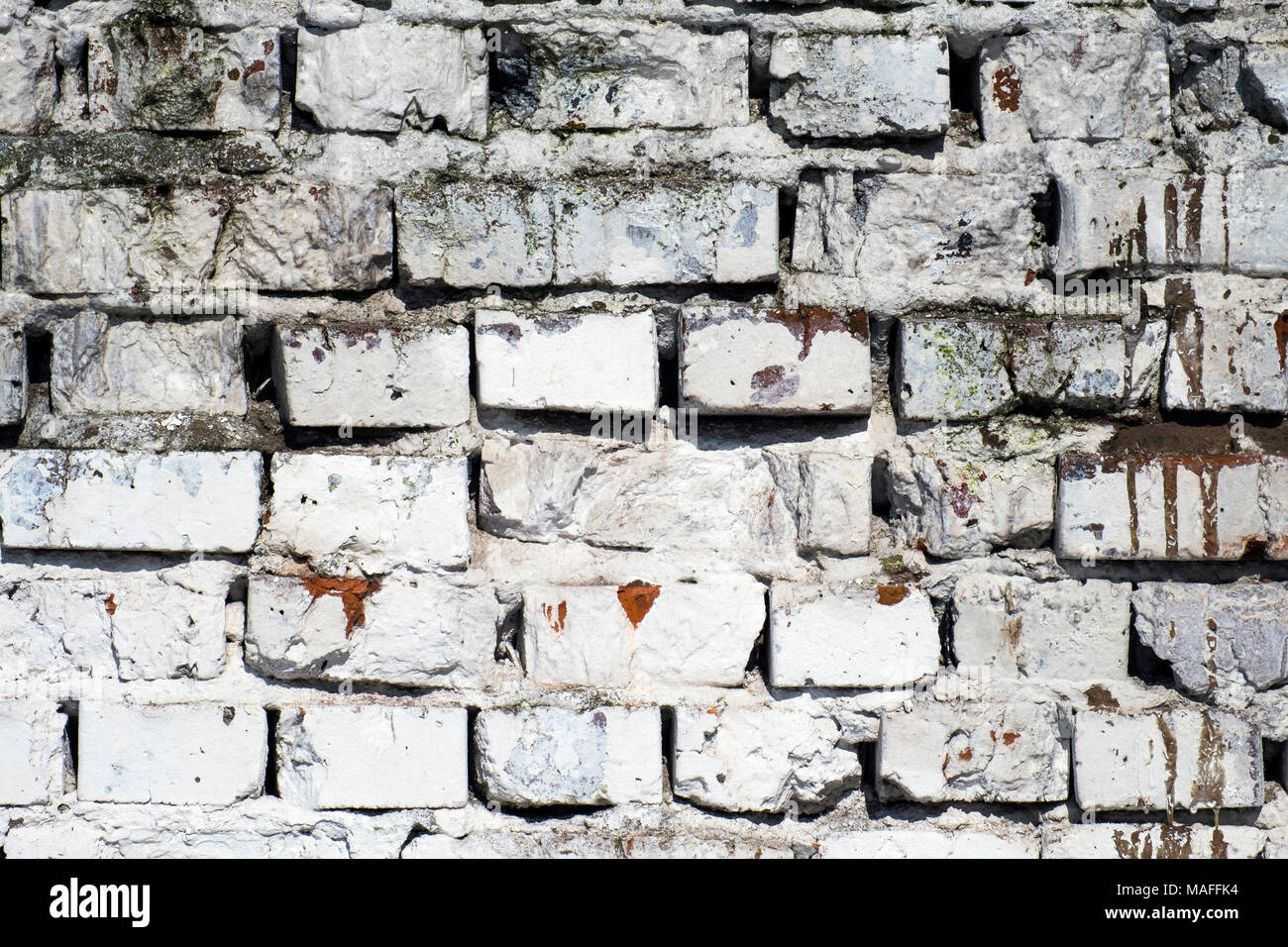 Old brick wall whitewashed with lime Stock Photo - Alamy