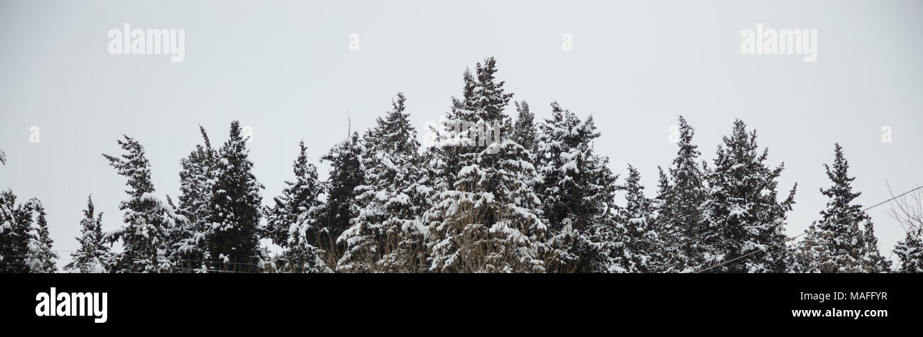 Twitter Headers Snow