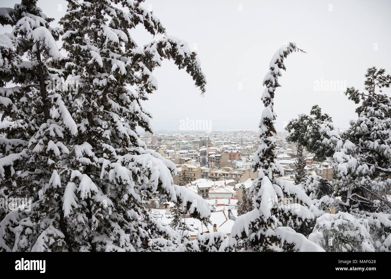 Christmas concept at Kozani town. Cityscape view between snowy trees ...