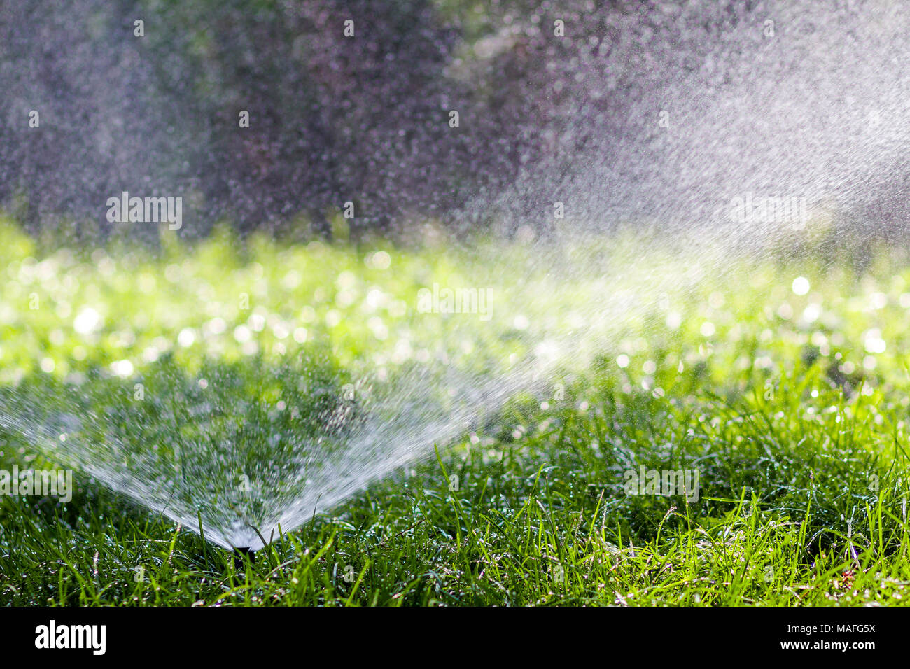 Lawn water sprinkler spraying water over grass in garden on a hot ...