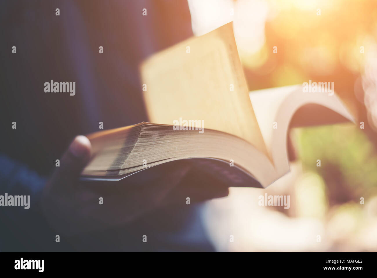 Man reading Book in his hands Stock Photo - Alamy