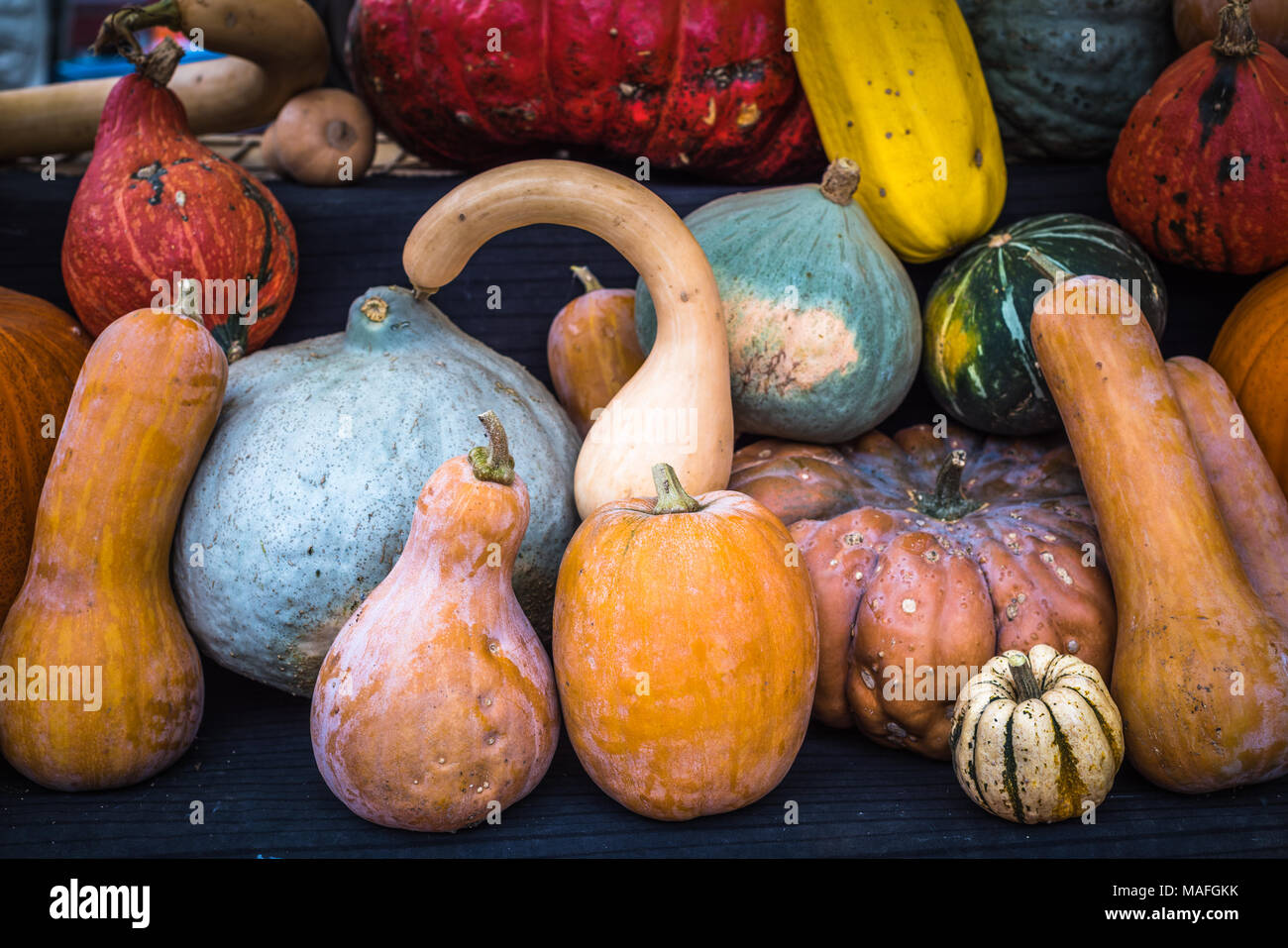 Collection of pumpkins at a farmers market Stock Photo - Alamy
