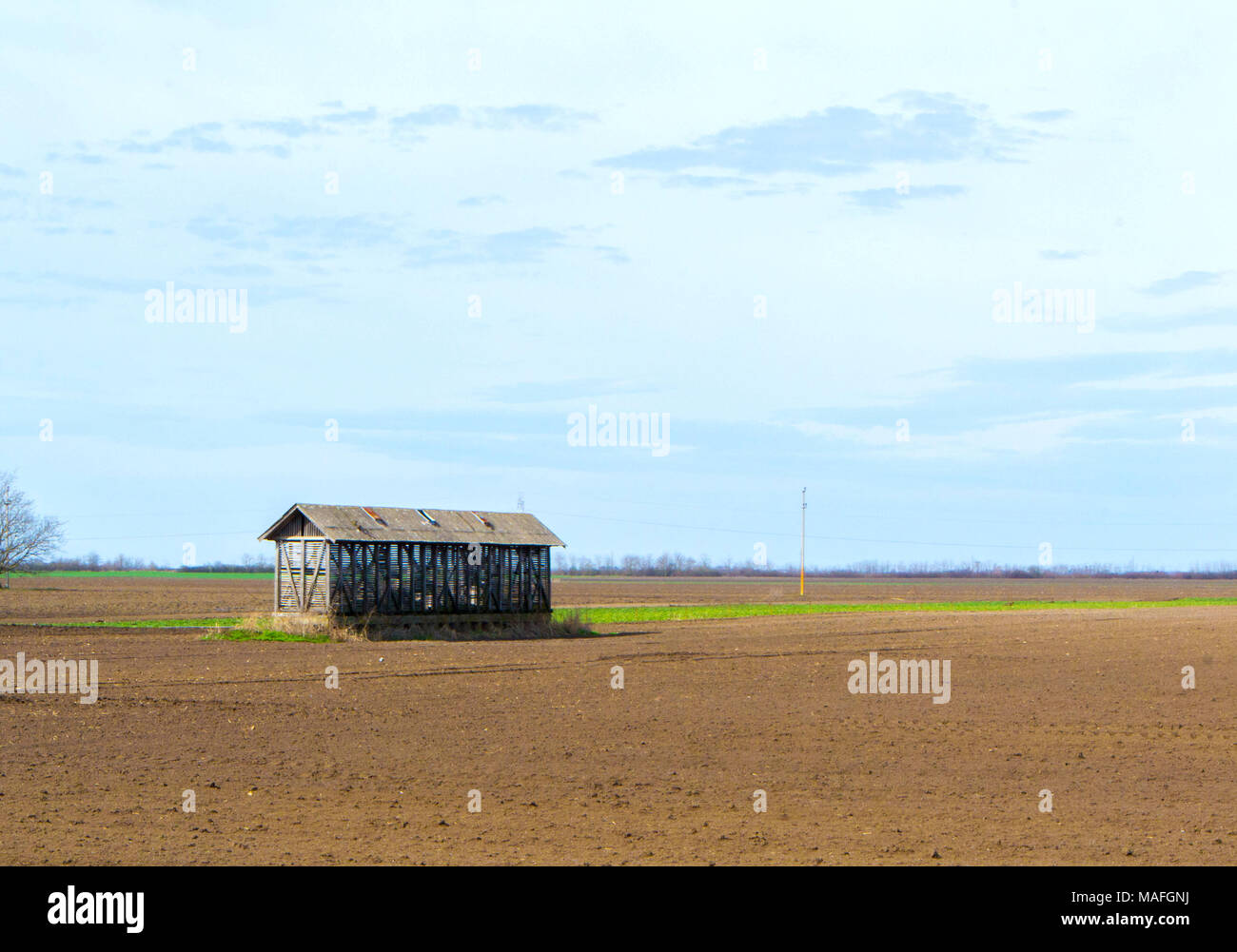 Old traditional maize storage for corn. Corn Cobs In Storage Place ...
