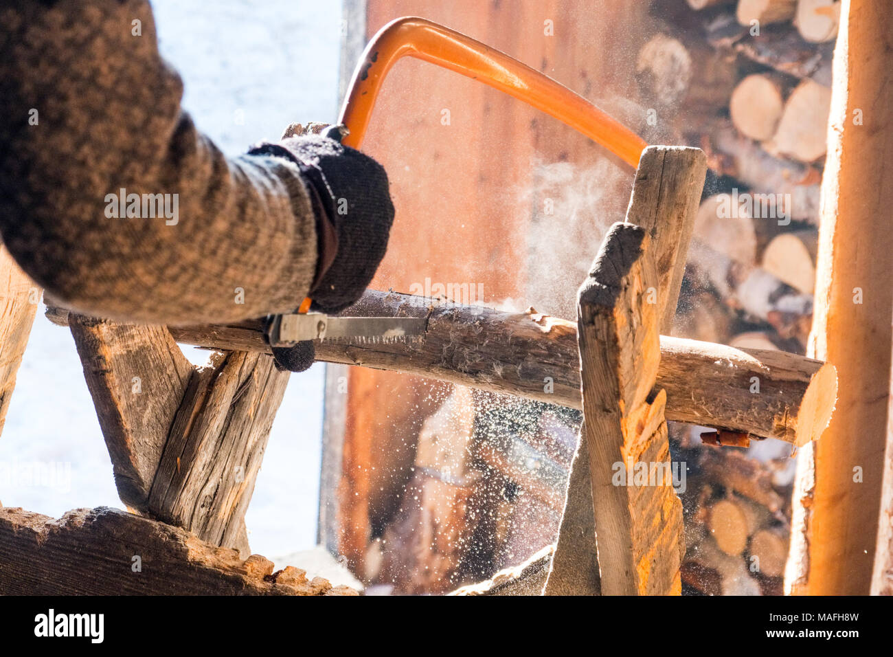 man cutting logs on a saw-horse Stock Photo - Alamy