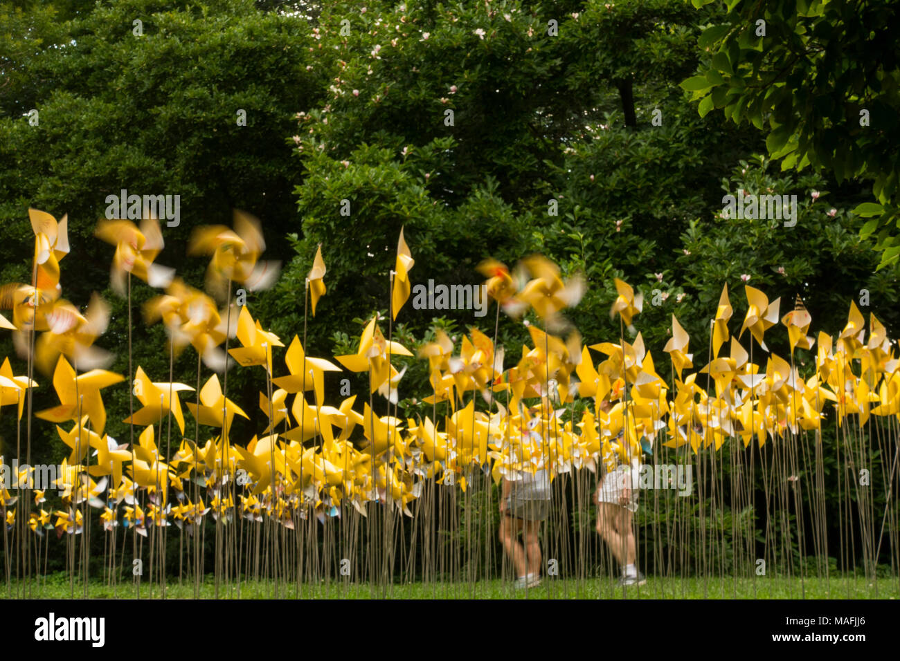 Yellow pinwheel public art project in Prospect Park Brooklyn NYC Stock ...