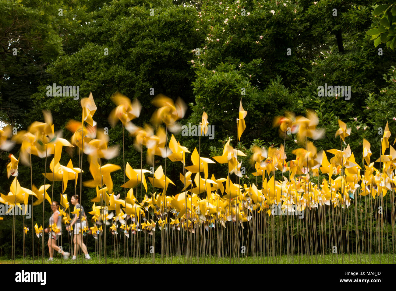 Yellow pinwheels hi-res stock photography and images - Alamy