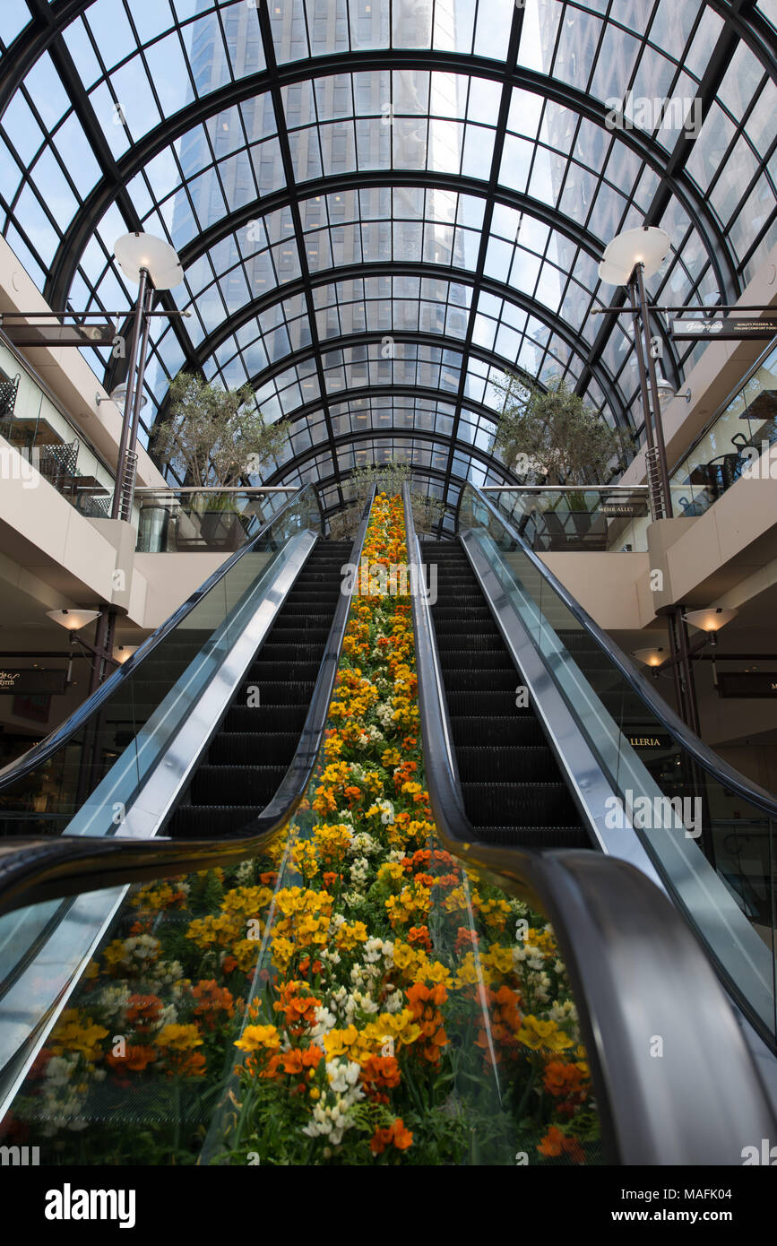 Escalator in a shopping mall, North Beach, San Francisco, California ...