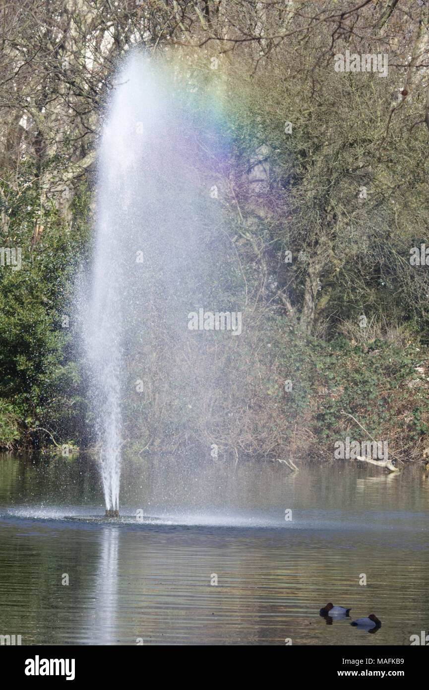 Refraction and dispersion of light spectrum of light appearing in hi ...