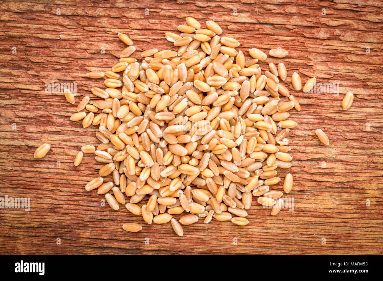 Hard red wheat hi-res stock photography and images - Alamy
