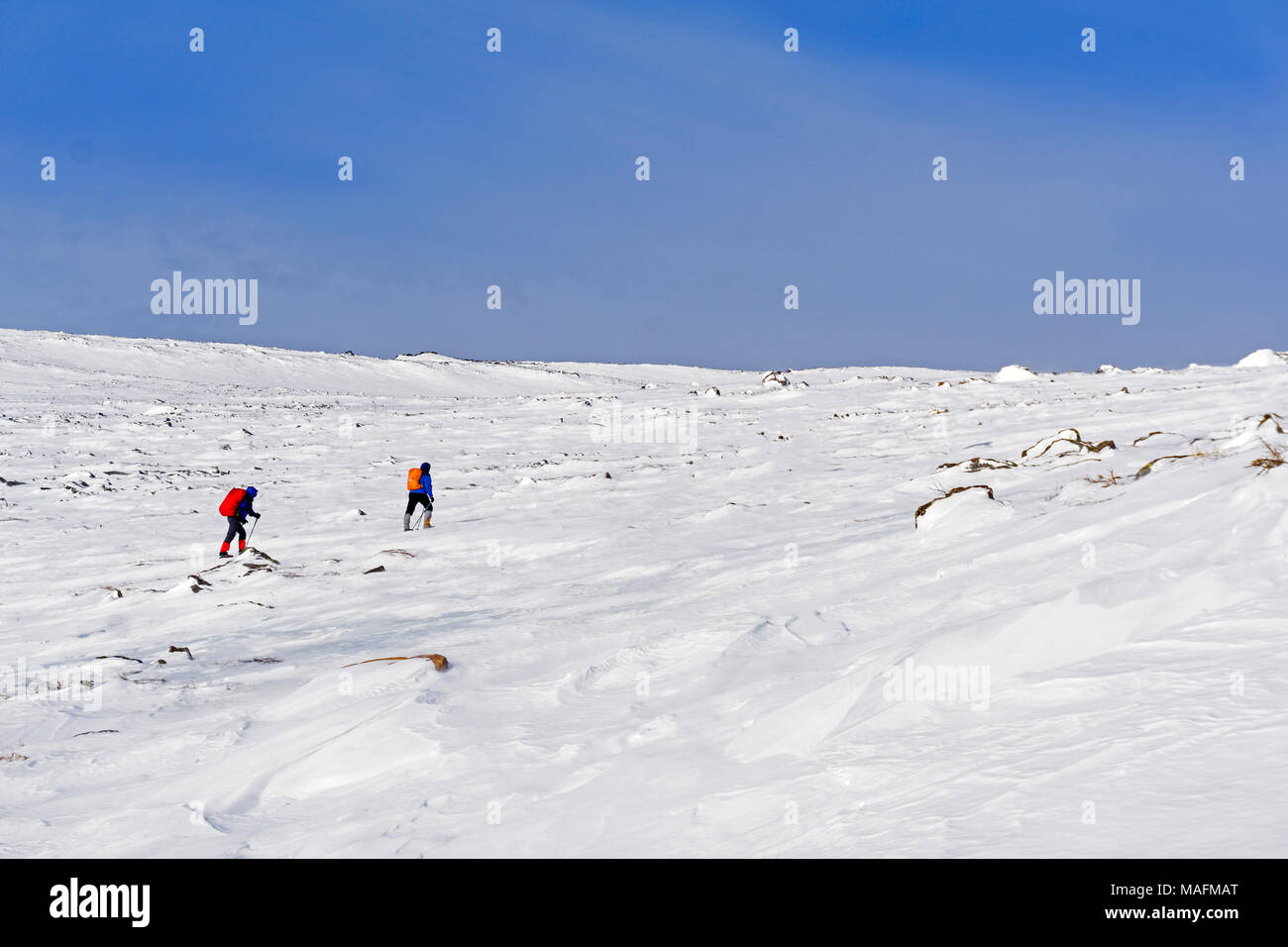 Two hikers in the arctic landscape on a sunny day Stock Photo - Alamy