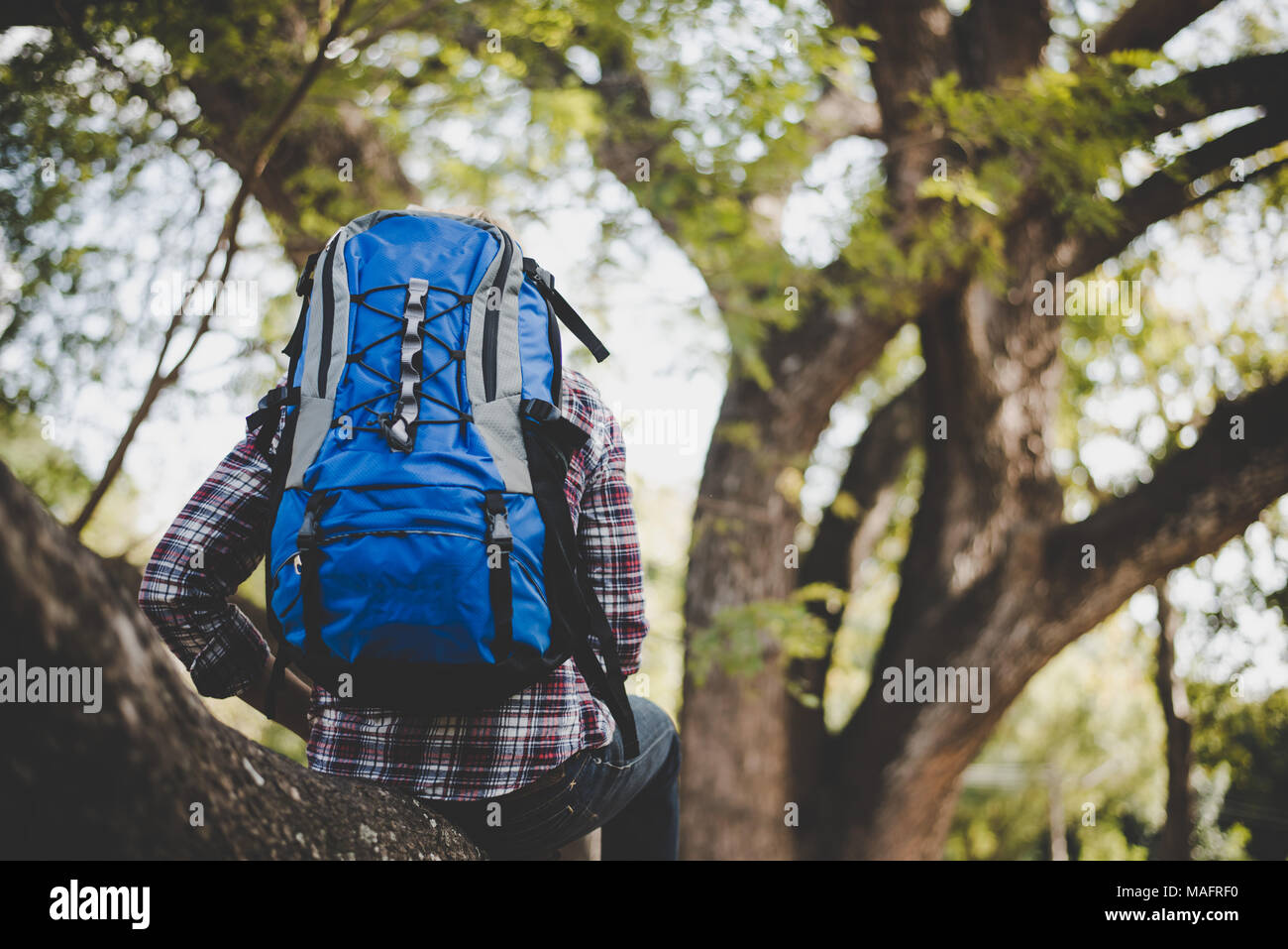 Young hipster man sitting on a tree branch in the park Stock Photo - Alamy