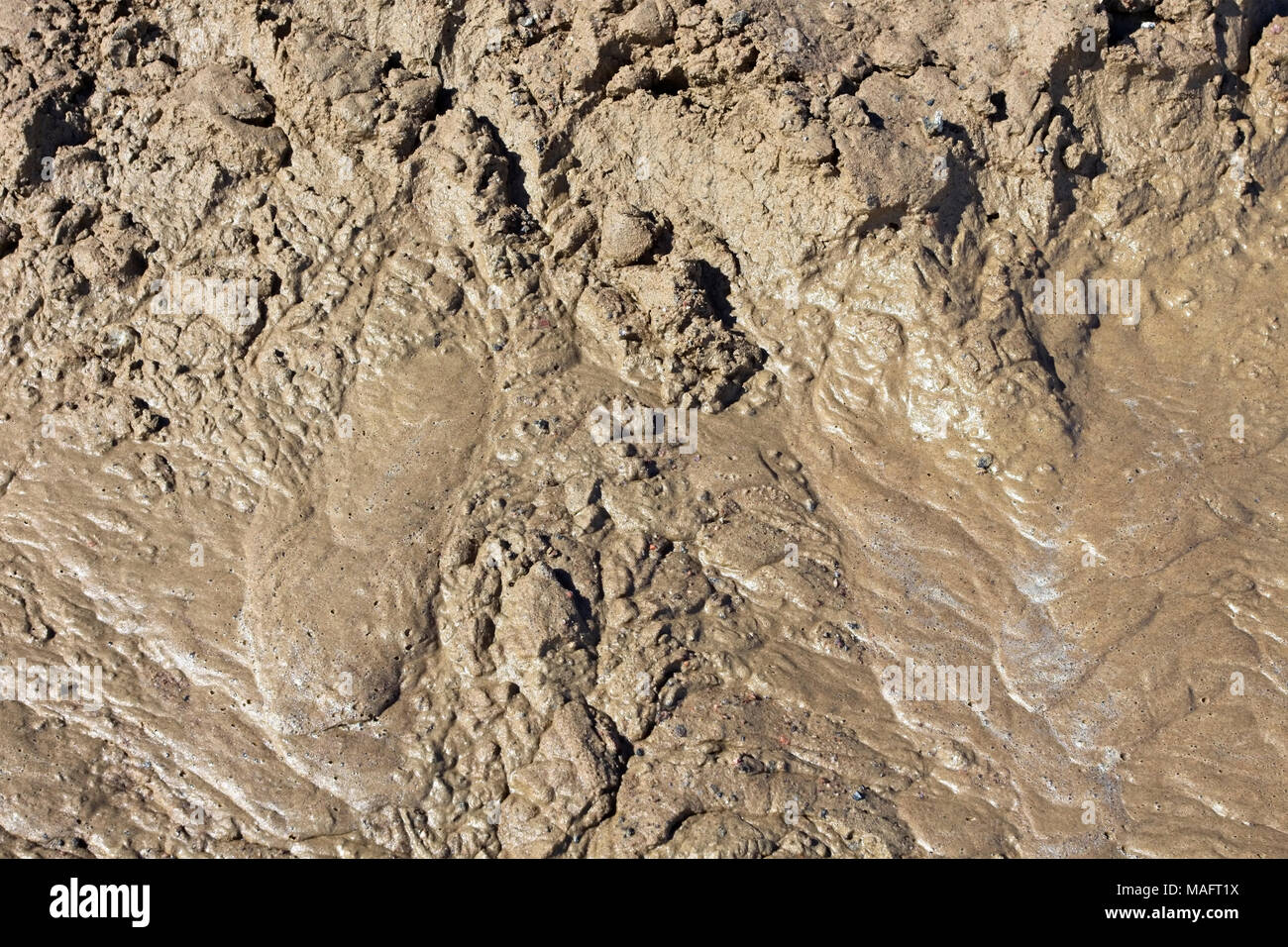 melting mud in sunny spring daylight Stock Photo - Alamy