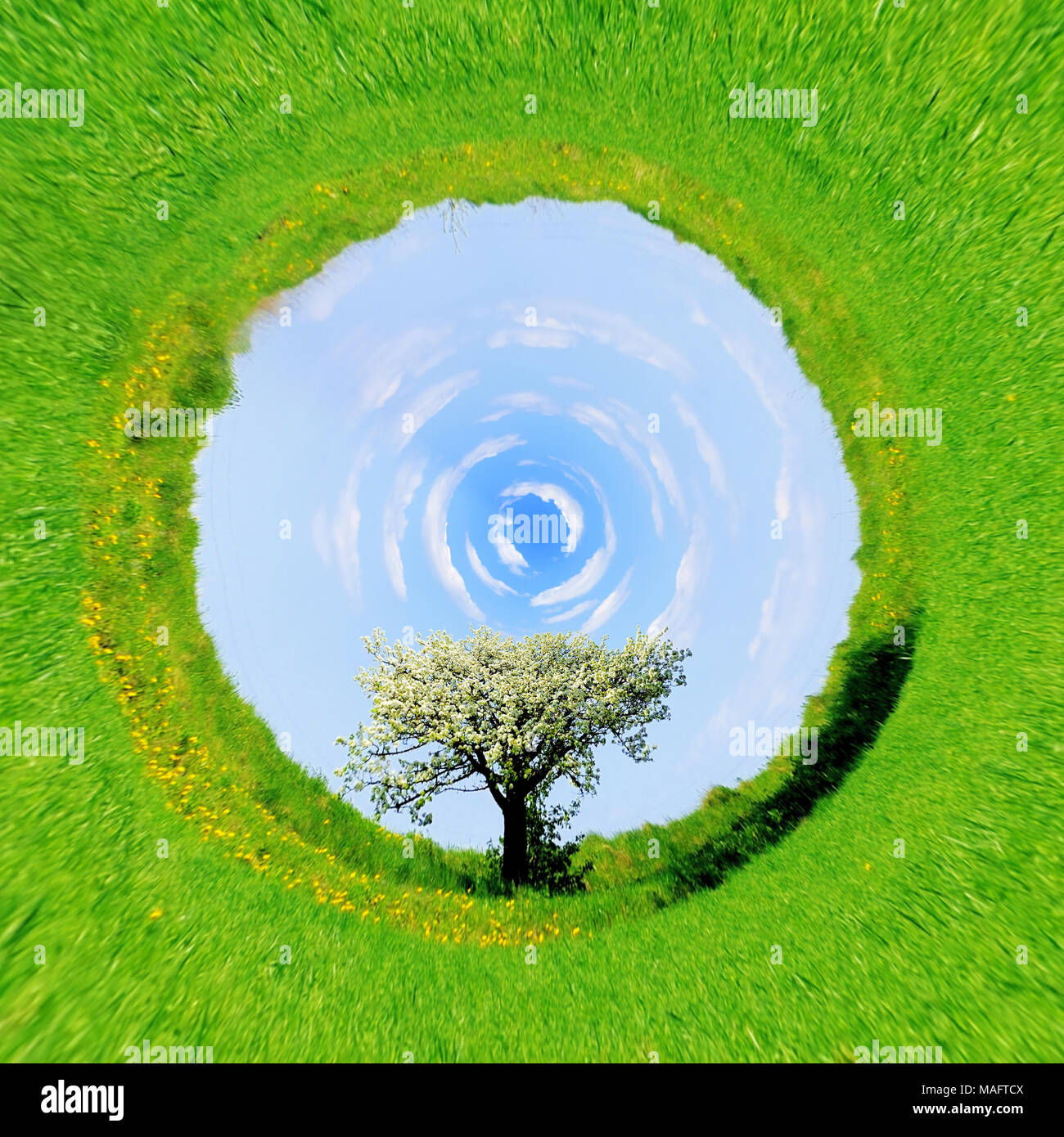 360 scene hi-res stock photography and images - Alamy