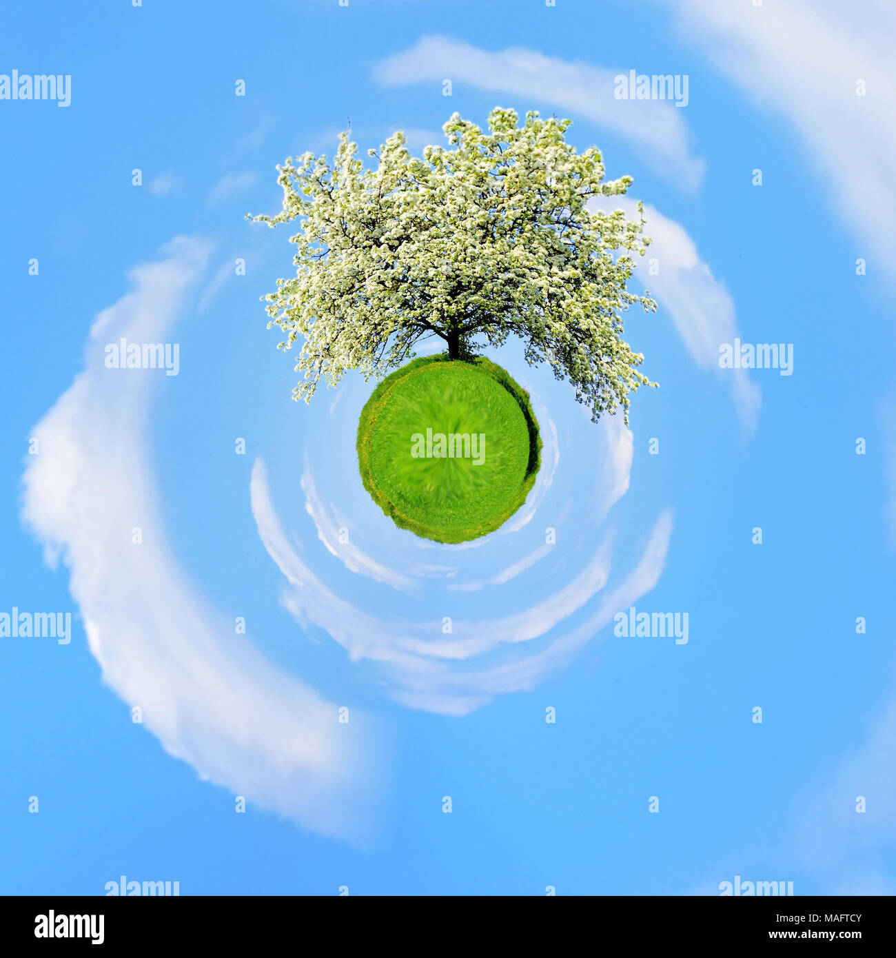 360 garden hi-res stock photography and images - Alamy