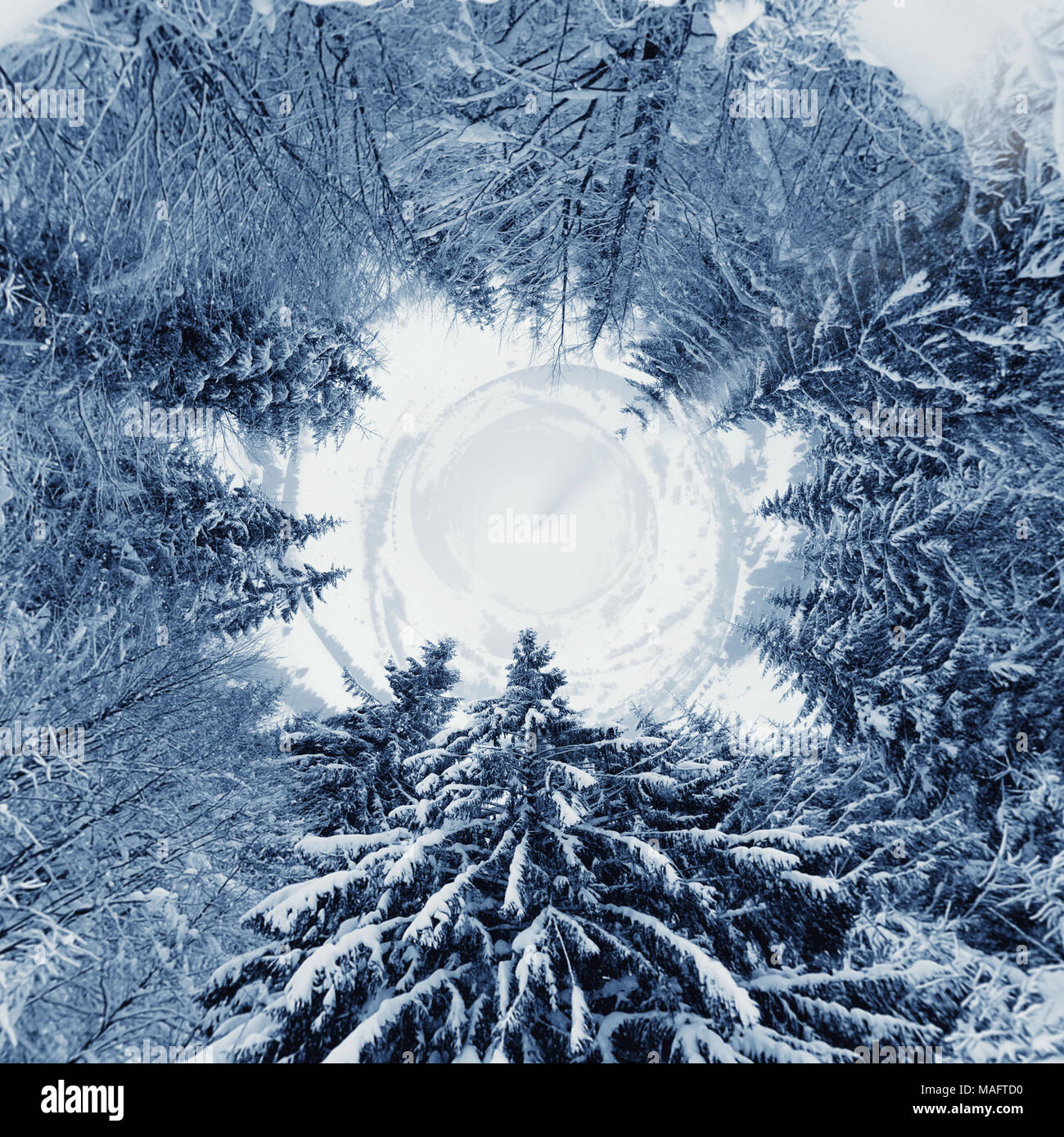 360 degree view of Beautiful winter landscape with snow covered trees ...