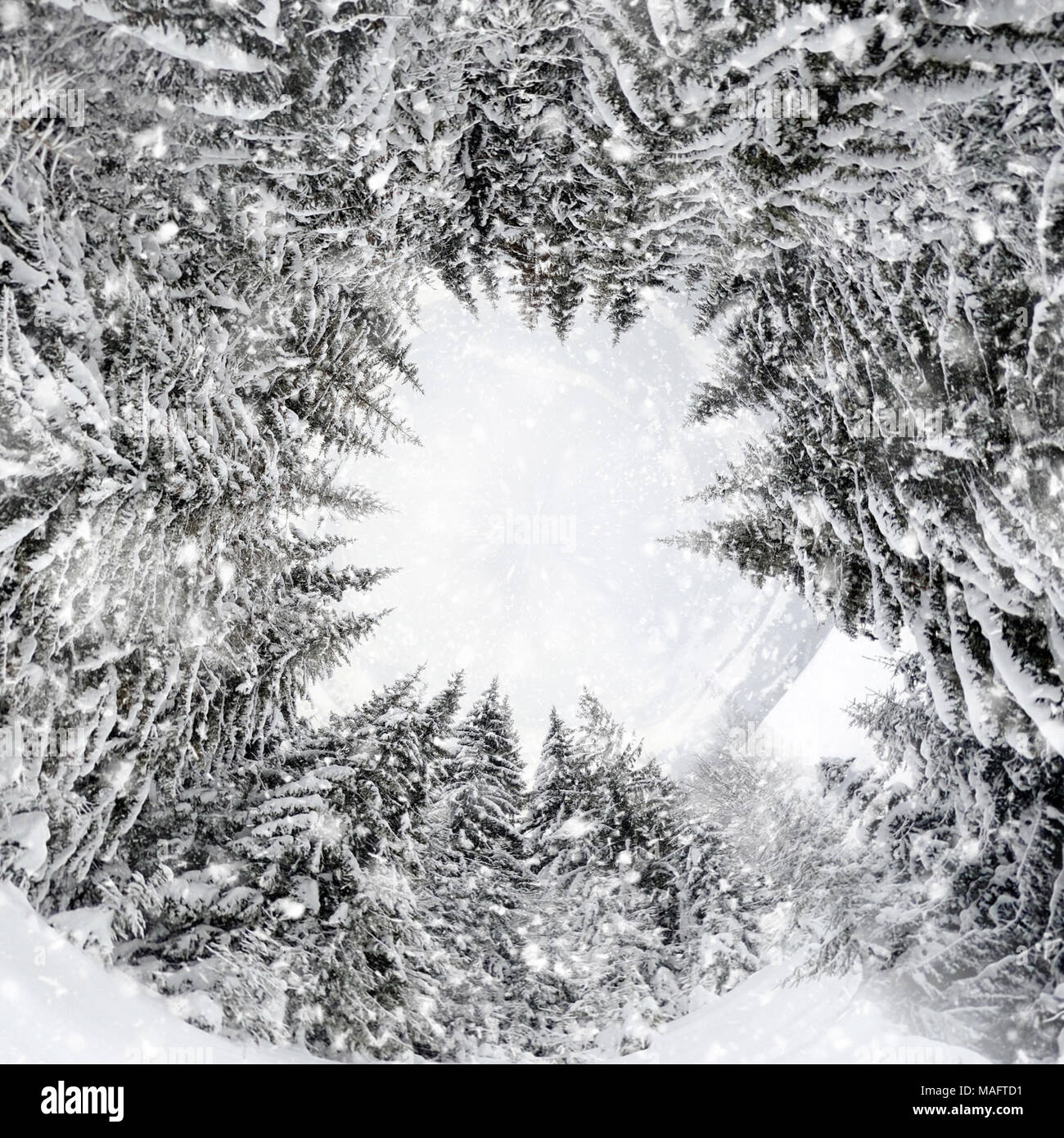 360 view circular hi-res stock photography and images - Alamy