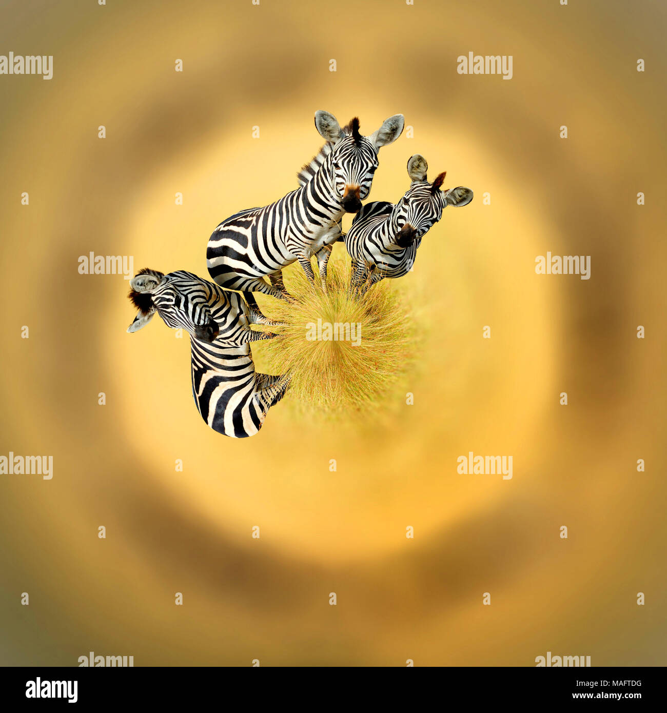 360 scene hi-res stock photography and images - Alamy