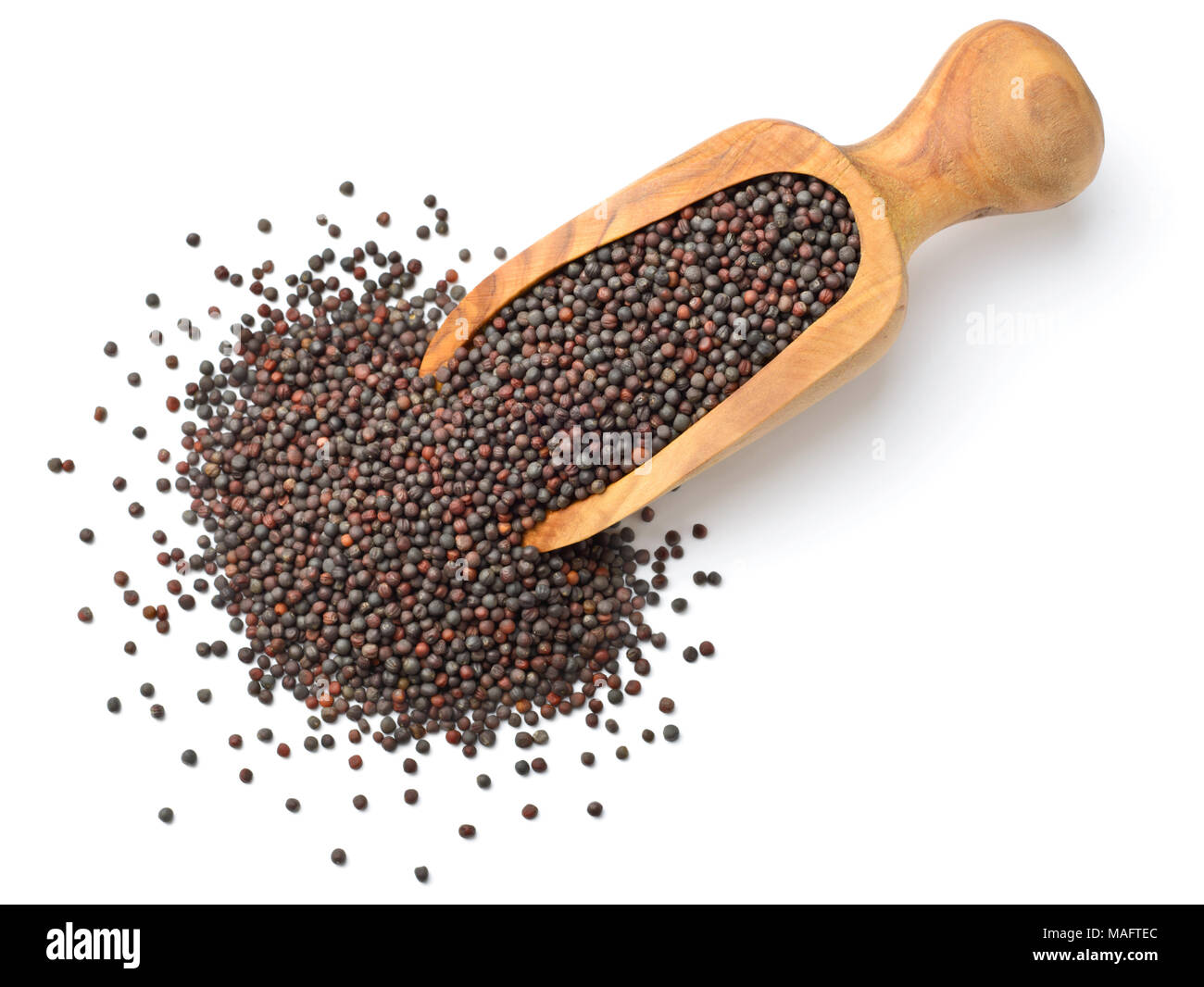 Canola Seeds High Resolution Stock Photography and Images - Alamy