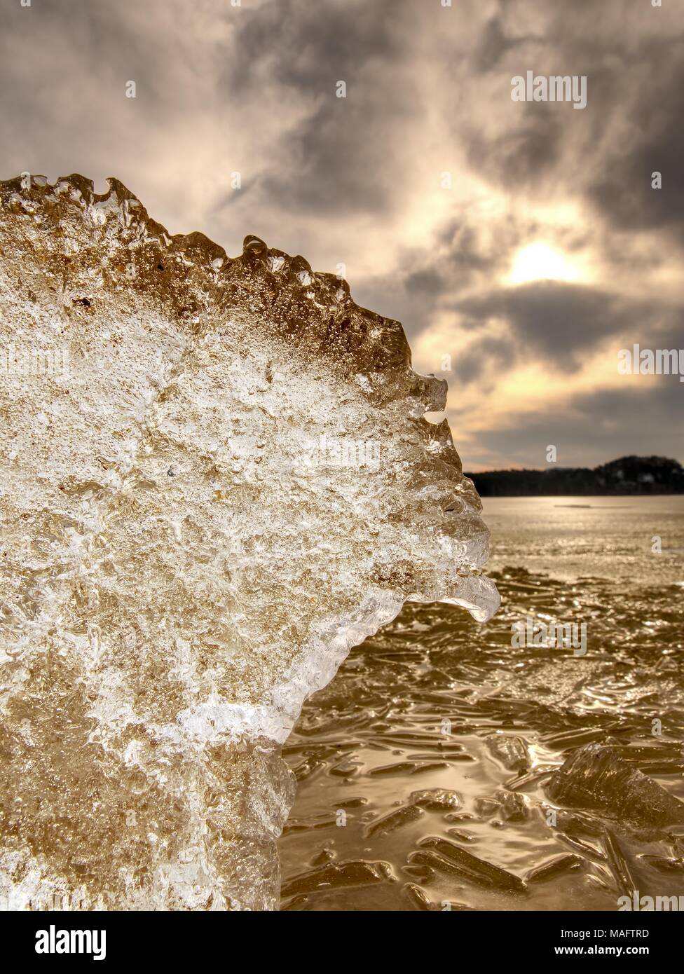 Frozen mud, puddle of muddy water. Brown silver ice with nice texture ...