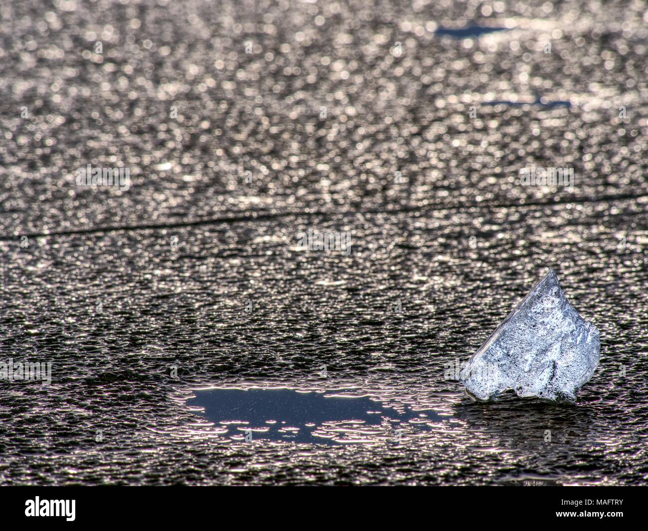 Detail of frozen icy sheet. Ice cracks forming surface, floes flowing ...