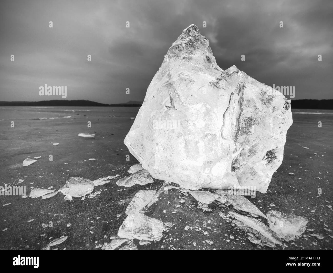 Ice cubes on a dark reflective ground. Glowing pieces of chopped ice ...