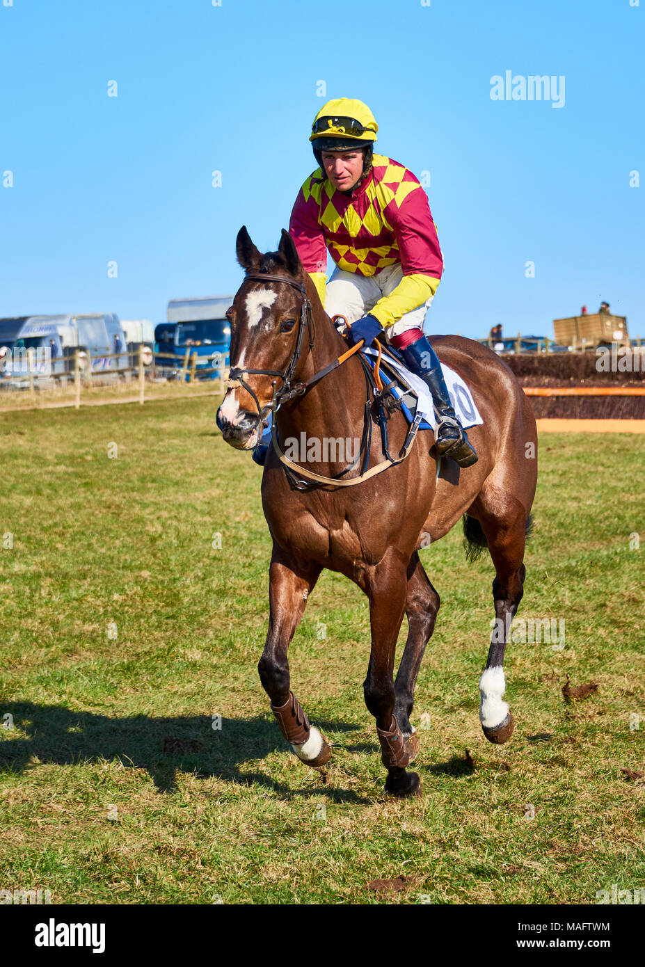 Point to point horse races hi-res stock photography and images - Alamy