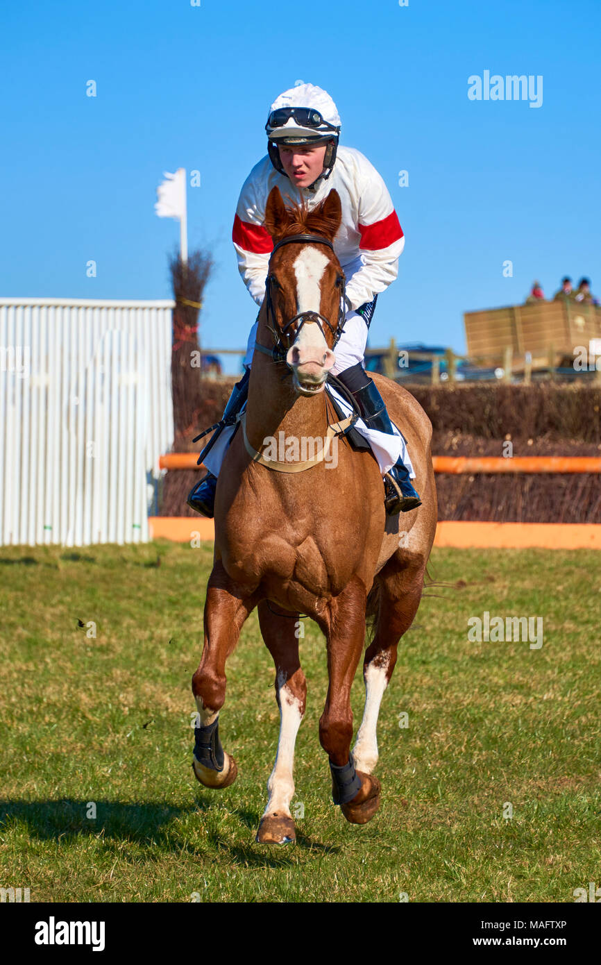 Horse and jockey hi-res stock photography and images - Alamy