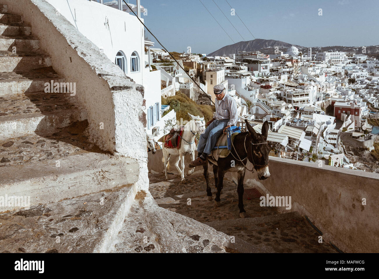 A man riding a donkey up steps in Fira / Thira on Santorini Stock Photo ...