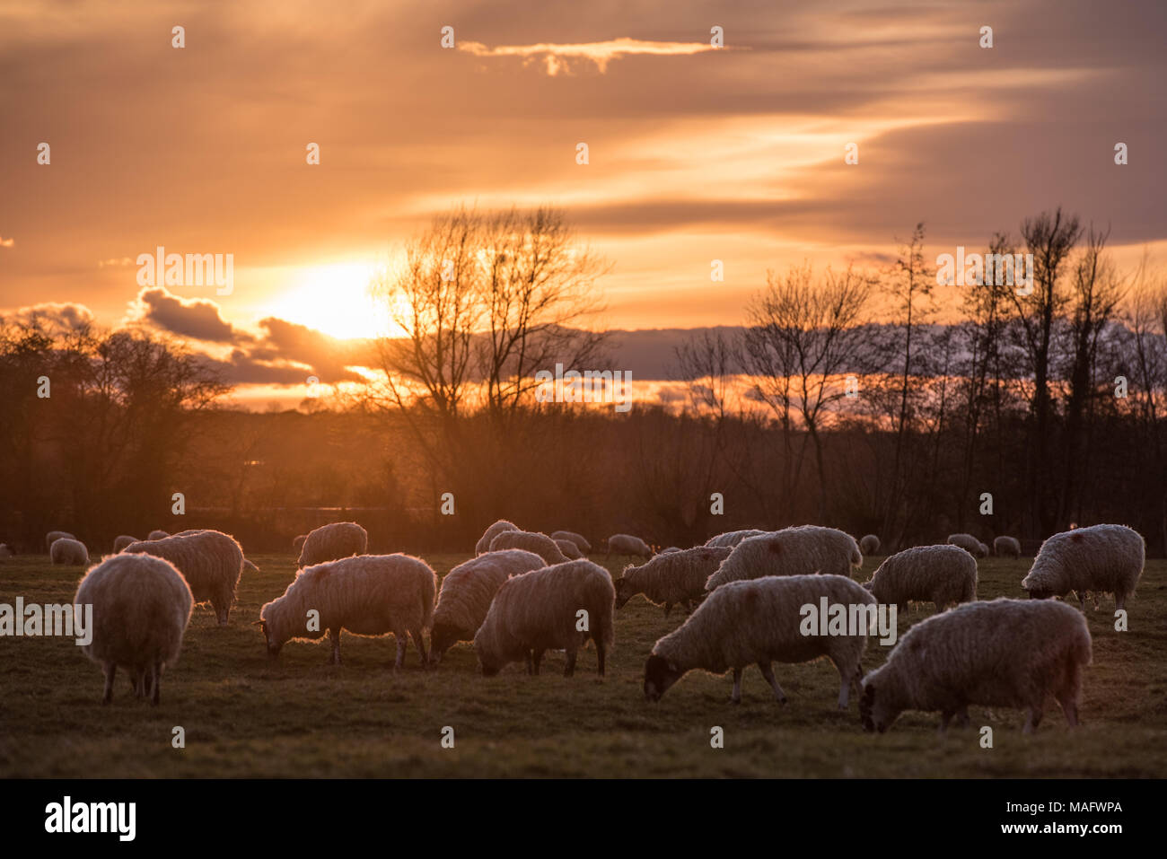 Mickleton hi-res stock photography and images - Alamy