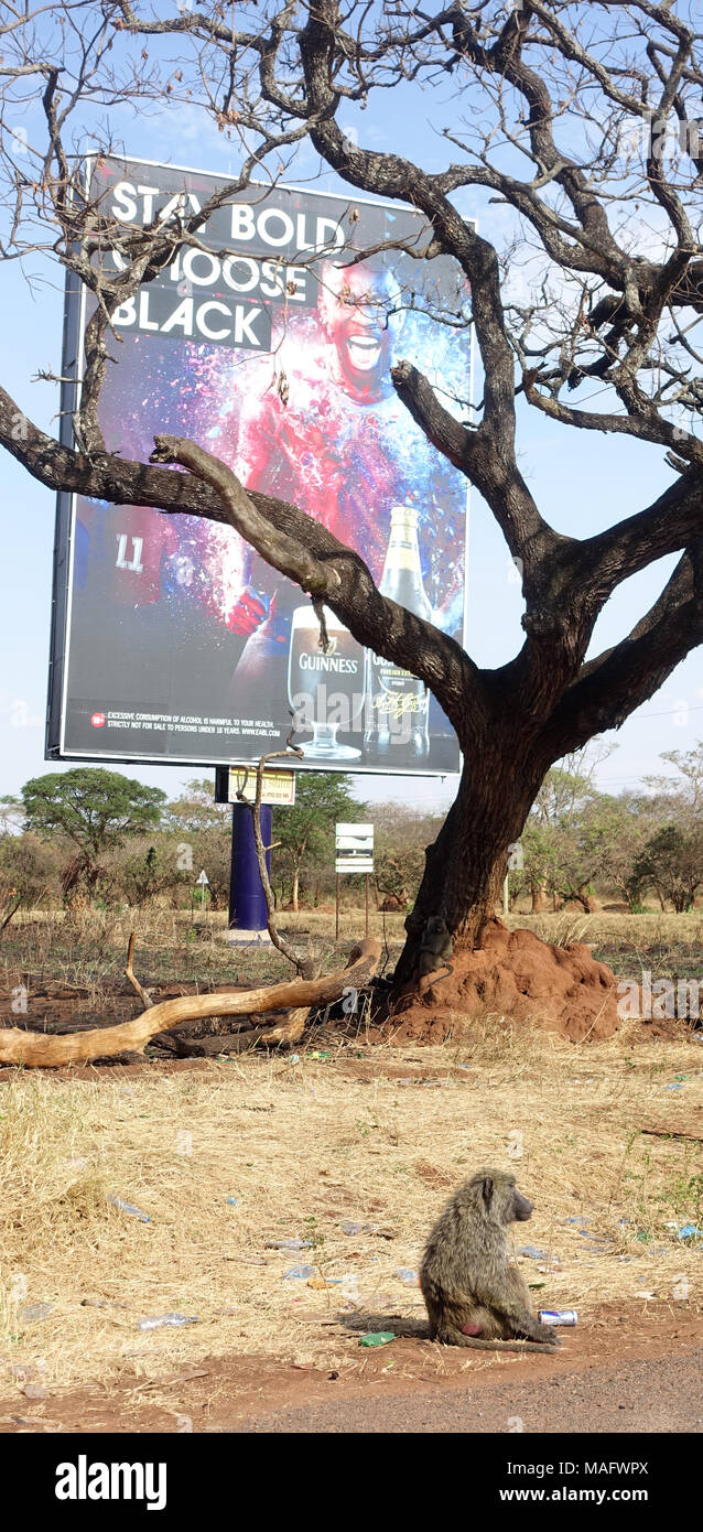 Tourism billboard africa hi-res stock photography and images - Alamy