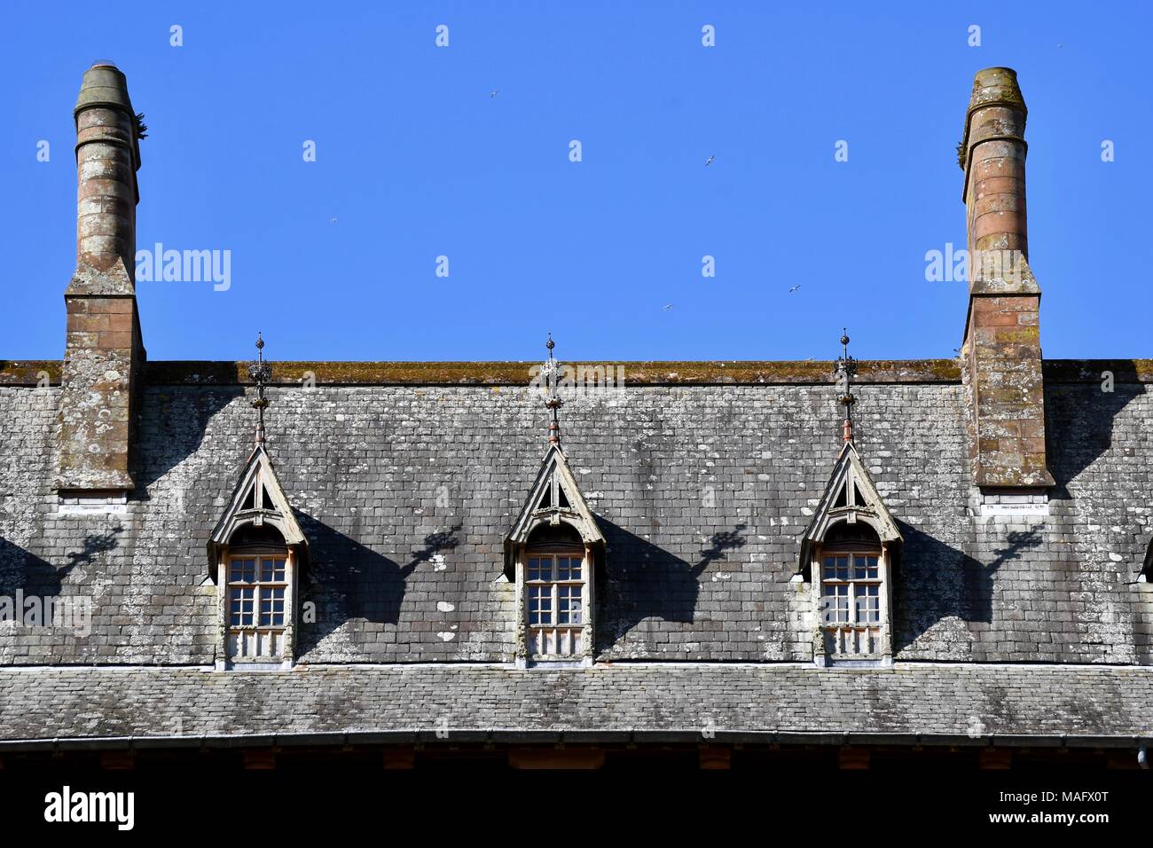 Victorian gothic revival house and estate hi-res stock photography and ...