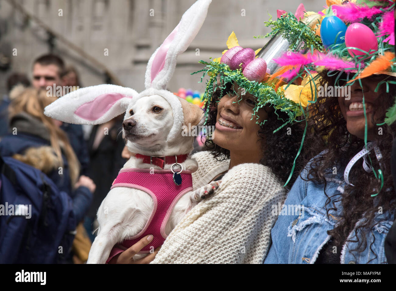 Easter new york parade dog hi-res stock photography and images - Alamy