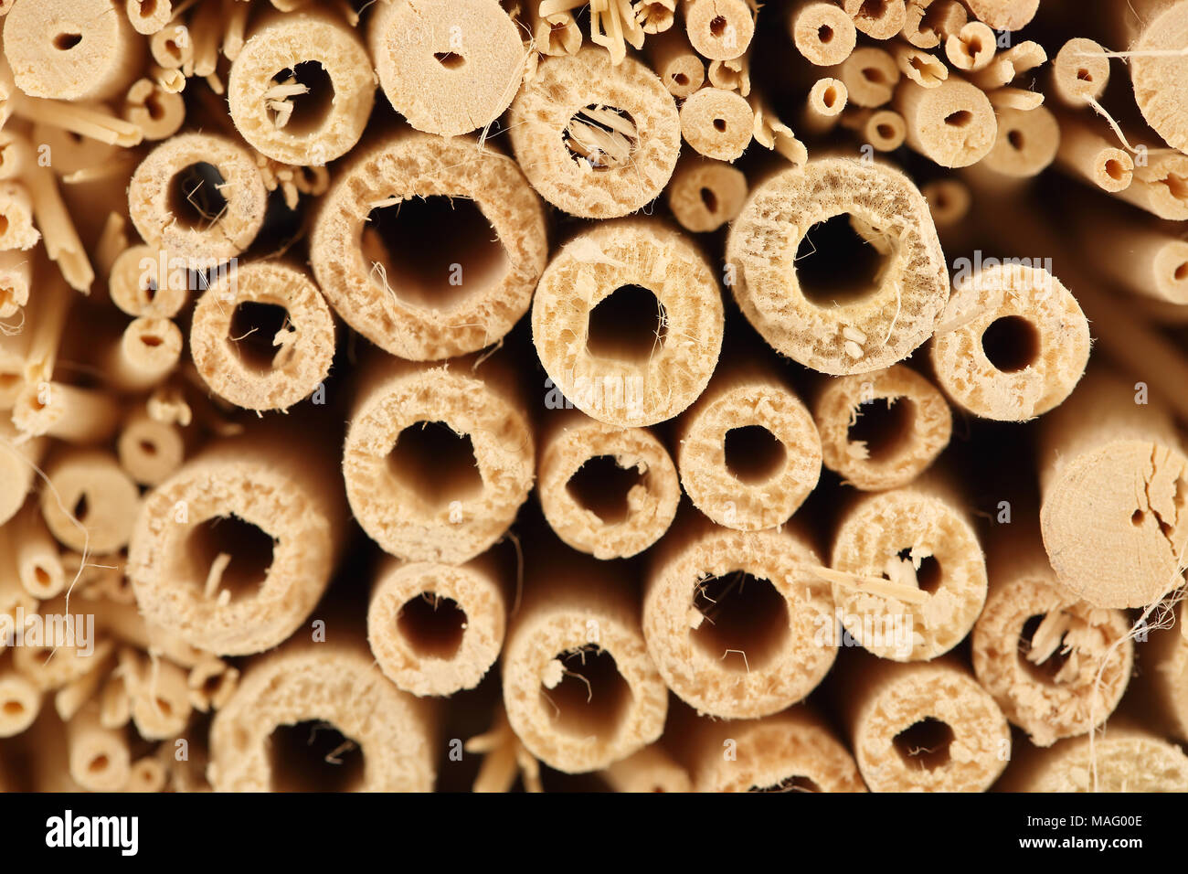 Various microscopic images, the surface of a particular object ...