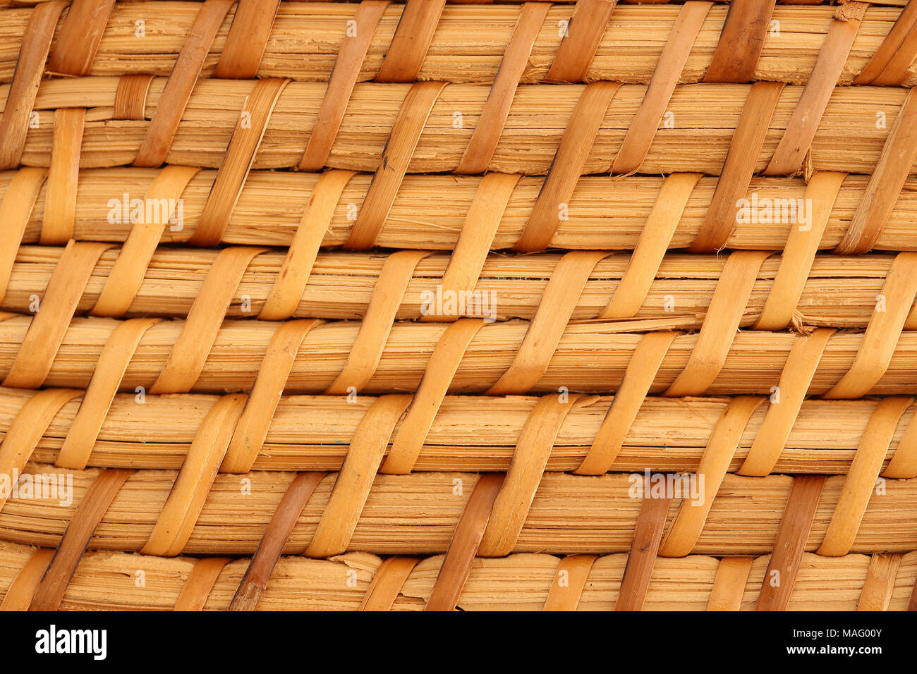 Various microscopic images, the surface of a particular object ...