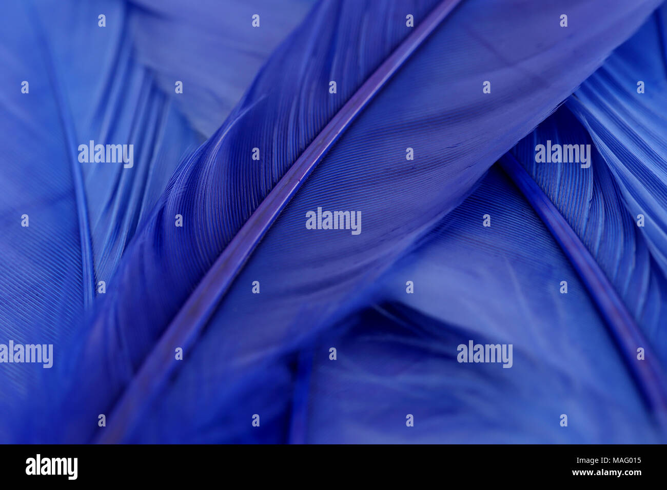 Various microscopic images, the surface of a particular object ...