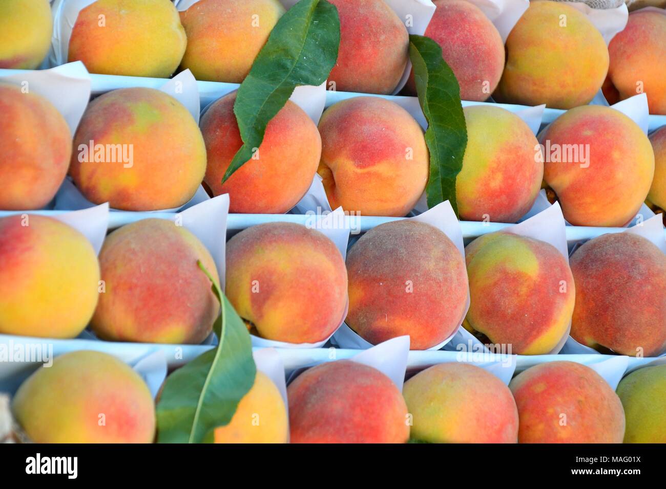 Fresh and ripe peaches are sold at the Bazaar Stock Photo - Alamy