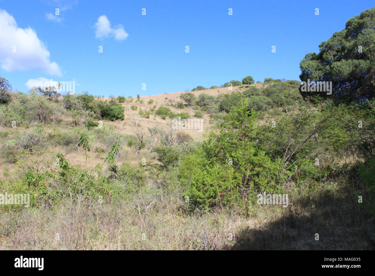 la mixteca oaxaquena Stock Photo - Alamy