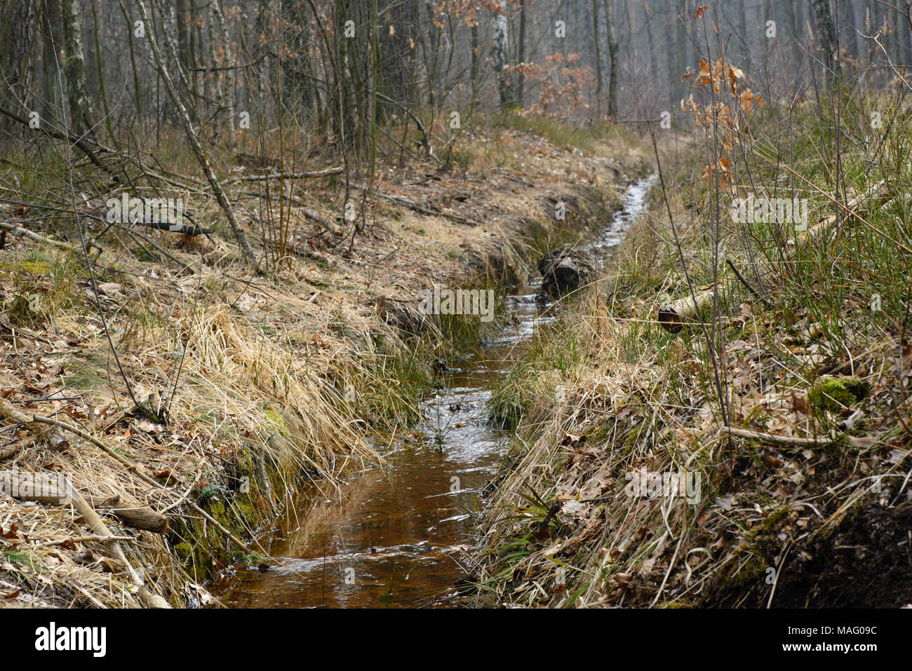 Green plants water flowing irrigation hi-res stock photography and ...